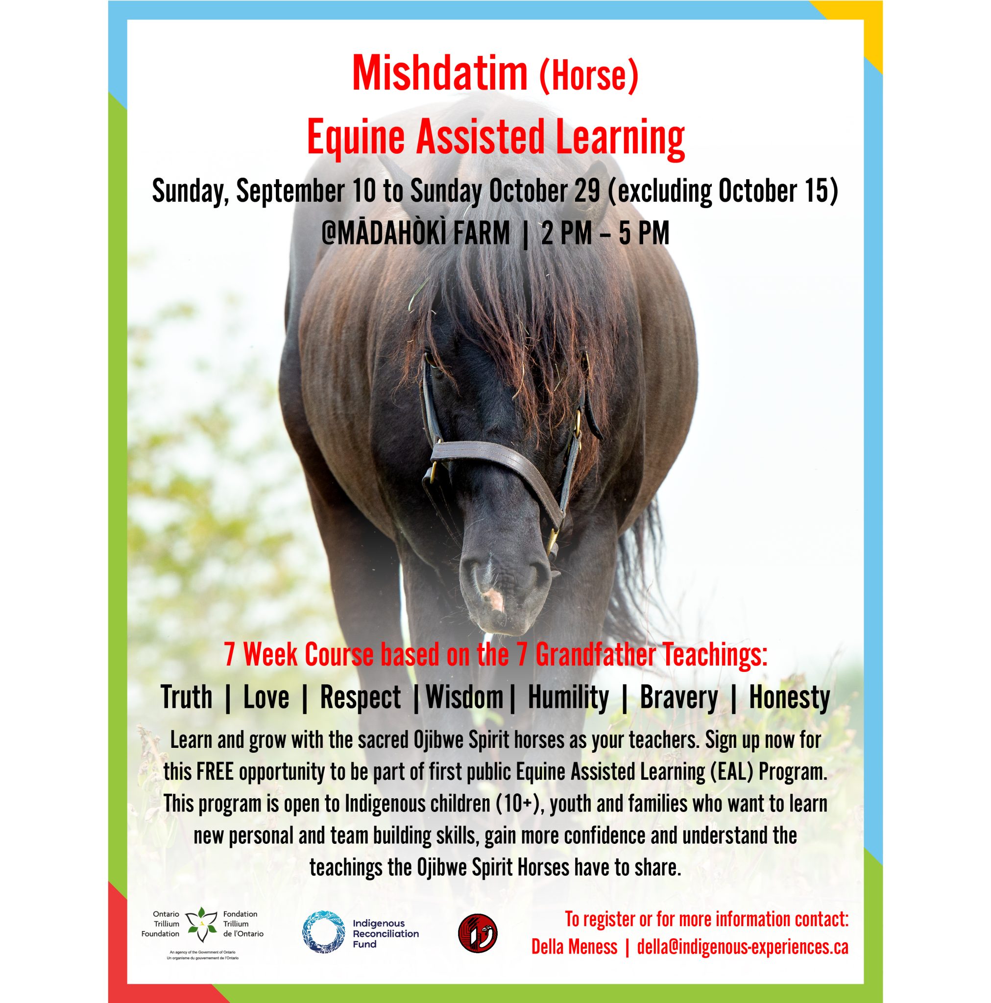 Mishdatim (Horse) Equine Assisted Learning - Mādahòkì Farm