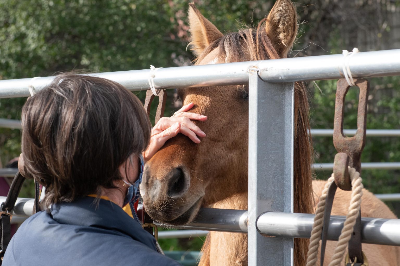 Ojibwe Spirit Horses - Mādahòkì Farm