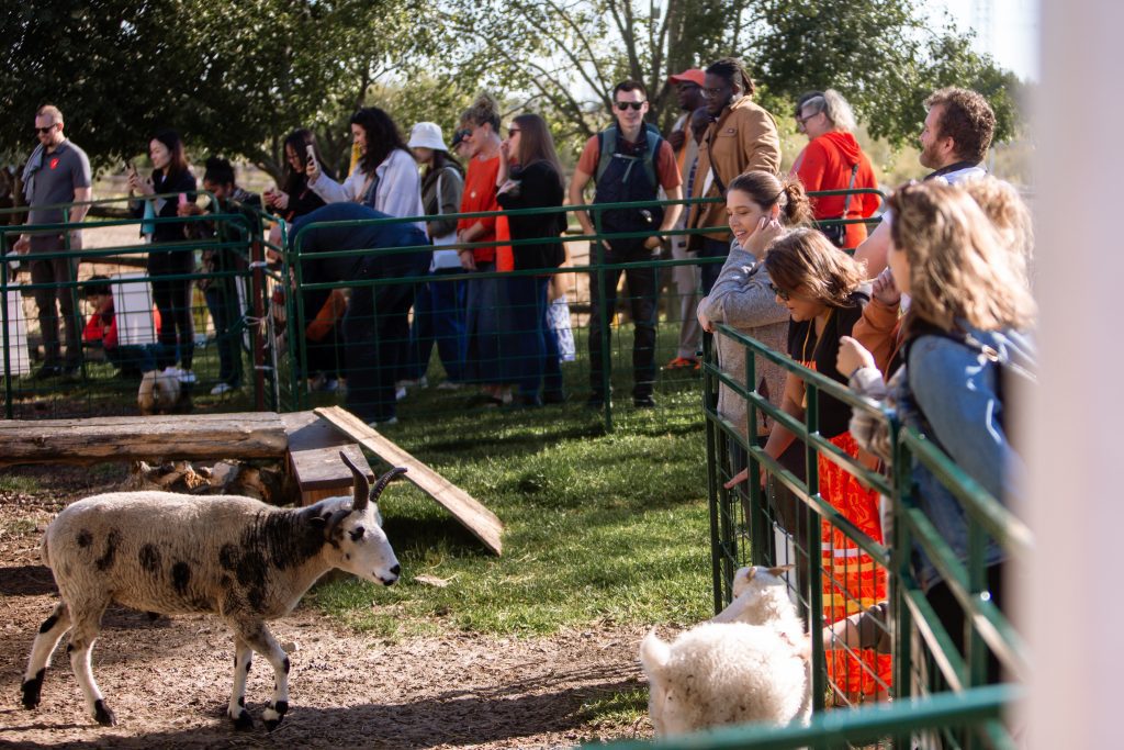 Visitor Experiences - Mādahòkì Farm