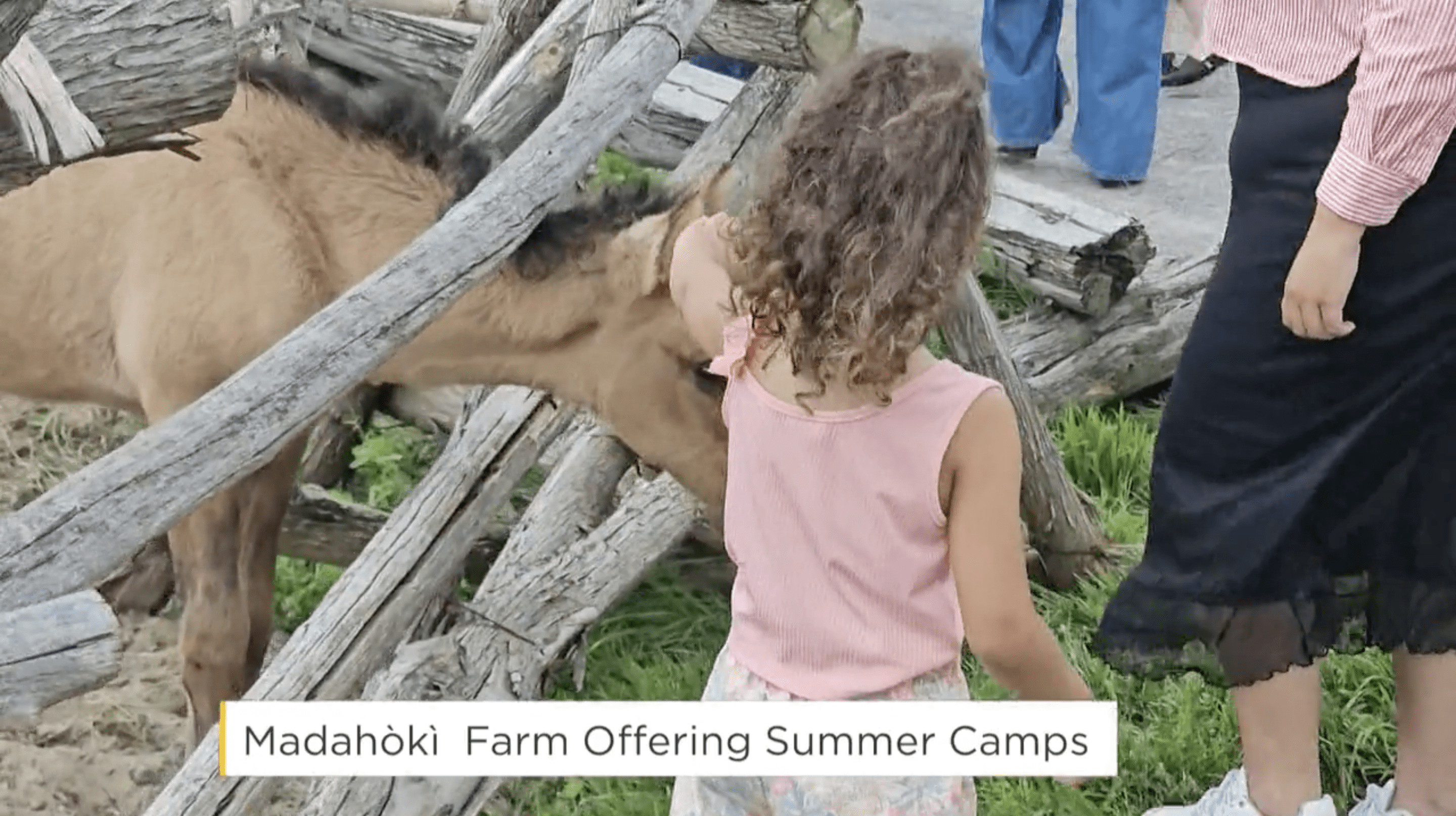 Home - Mādahòkì Farm